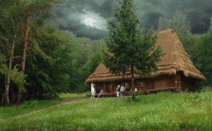33 Forest Cottages and Modern Houses Surrounded by Trees and Tranquility