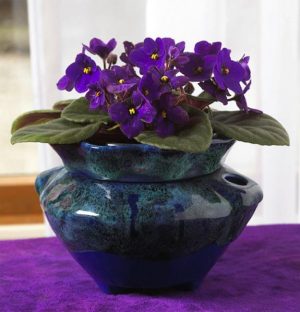 Natural Feng Shui Cures to Attract Harmony, Wealth and Health