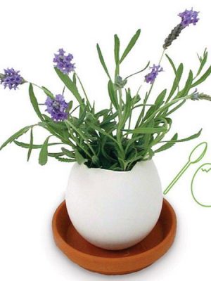 Recycling Egg Shells for Miniature Vases, Green Easter Decorating with ...