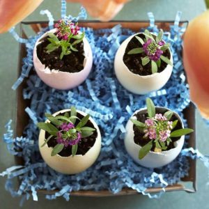 Recycling Egg Shells for Miniature Vases, Green Easter Decorating with ...