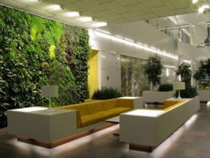 Going Green, Modern Interior Decorating and Green Wall Design