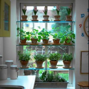Stationary Window Designs, 20 Window Decorating Ideas with Glass Shelves