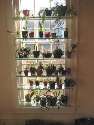 Stationary Window Designs, 20 Window Decorating Ideas with Glass Shelves