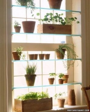 Stationary Window Designs, 20 Window Decorating Ideas with Glass Shelves