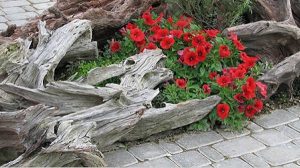 20 Root Artworks and Yard Decorations Bringing Natural Splendor into ...