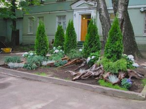 20 Root Artworks and Yard Decorations Bringing Natural Splendor into ...