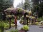 20 Root Artworks and Yard Decorations Bringing Natural Splendor into ...