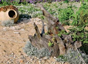 20 Root Artworks and Yard Decorations Bringing Natural Splendor into ...