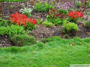 Spring Garden Design, 25 Spring Flower Beds and Yard Landscaping Ideas