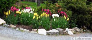 Spring Garden Design, 25 Spring Flower Beds and Yard Landscaping Ideas