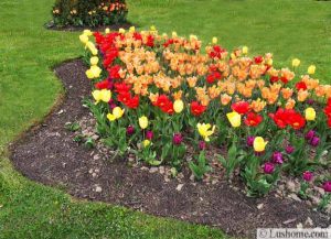 Spring Garden Design, 25 Spring Flower Beds and Yard Landscaping Ideas
