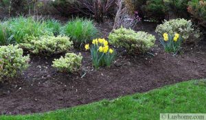 Spring Garden Design, 25 Spring Flower Beds and Yard Landscaping Ideas
