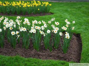 Spring Garden Design, 25 Spring Flower Beds and Yard Landscaping Ideas