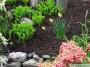 Spring Garden Design, 25 Spring Flower Beds and Yard Landscaping Ideas