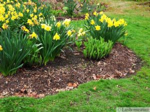 Spring Garden Design, 25 Spring Flower Beds and Yard Landscaping Ideas