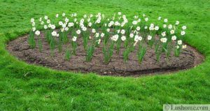 Spring Garden Design, 25 Spring Flower Beds and Yard Landscaping Ideas