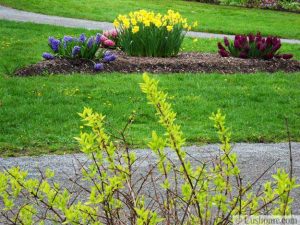 Spring Garden Design, 25 Spring Flower Beds and Yard Landscaping Ideas