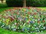 Spring Garden Design, 25 Spring Flower Beds and Yard Landscaping Ideas