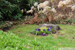 20 Spring Yard Landscaping Ideas and Beautiful Garden Decorations