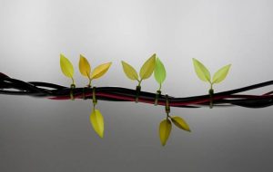 20 Modern Wall Decoration Ideas Creating Cable Artworks