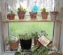 25 Creative Window Decorating Ideas with Open Shelves, Space Saving ...