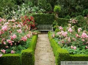 40 Green Fence Design Ideas, Yard Landscaping and Decorating with Plants