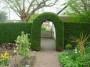 40 Green Fence Design Ideas, Yard Landscaping and Decorating with Plants