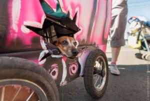 Creative Redesign, Recycling and Decorating Ideas Transforming Baby ...