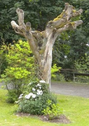 60 Impressive Stumpery Garden Decorations, Creative and Natural ...