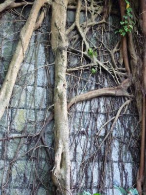 60 Impressive Stumpery Garden Decorations, Creative and Natural ...