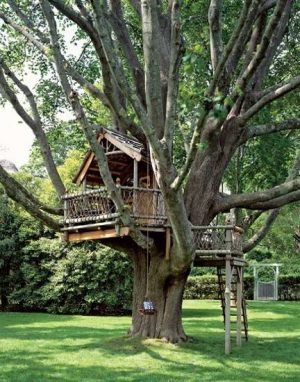 20 Tree House Design Ideas to Fill Backyards with Fun