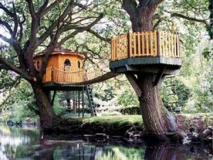 20 Tree House Design Ideas to Fill Backyards with Fun