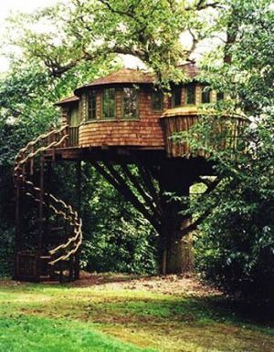 20 Tree House Design Ideas to Fill Backyards with Fun