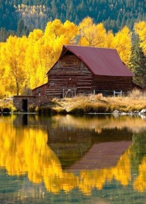 Fall Colors Beautify Modern Houses and Landscape Throughout Bright Season