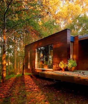 Fall Colors Beautify Modern Houses and Landscape Throughout Bright Season