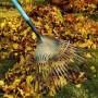Fall Gardening Tools for Yard Landscaping While Enjoying Bright Fall Colors