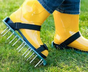 Fall Gardening Tools for Yard Landscaping While Enjoying Bright Fall Colors