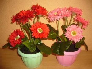 Gerbera Flowers Bringing Joy and Color into Interior Decorating