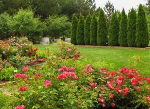 Green Lawns and Bright Yard Landscaping Ideas Celebrating Emerald Green ...