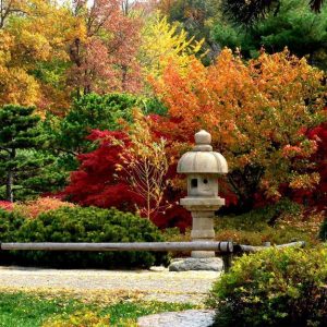 Fall Leaves Decorating Gardens and Backyards for Outdoor Events and ...
