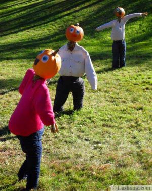 33 Pumpkin People Inspirations to Make Unique Halloween Decorations and ...