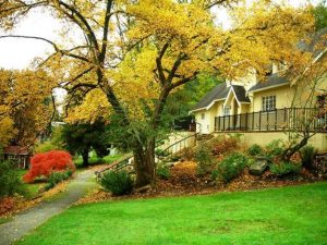 Landscaping Ideas for Colorful Fall Country Home Driveways and Town Paths