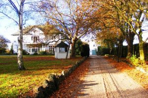 Landscaping Ideas for Colorful Fall Country Home Driveways and Town Paths