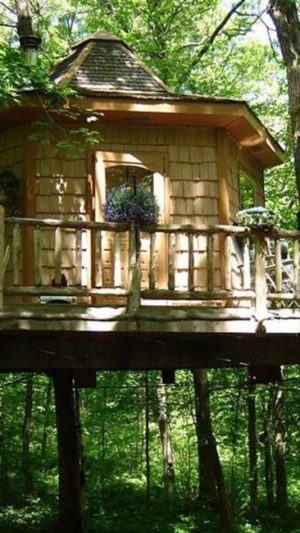 Treehouse Designs to Learn About and Enjoy on Green Vacation