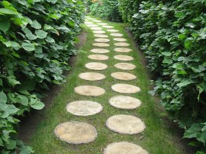 30 Green Design Ideas for Beautiful Wooden Garden Paths