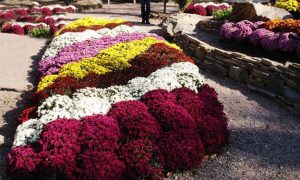 22 Floral Installations and Landscaping Ideas with Mums Celebrating ...