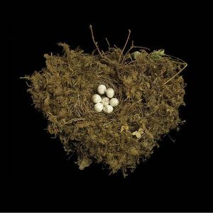 Bird Nests Inspiring Creative Easter Decorating Ideas in Eco style