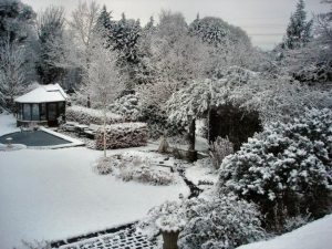 21 Beautiful Winter Gardens with Snow Capped Plants and Smart Layout Design