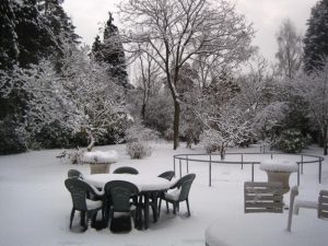 21 Beautiful Winter Gardens with Snow Capped Plants and Smart Layout Design