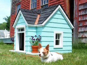 20 Modern Pet House Design Ideas for Cats and Dogs